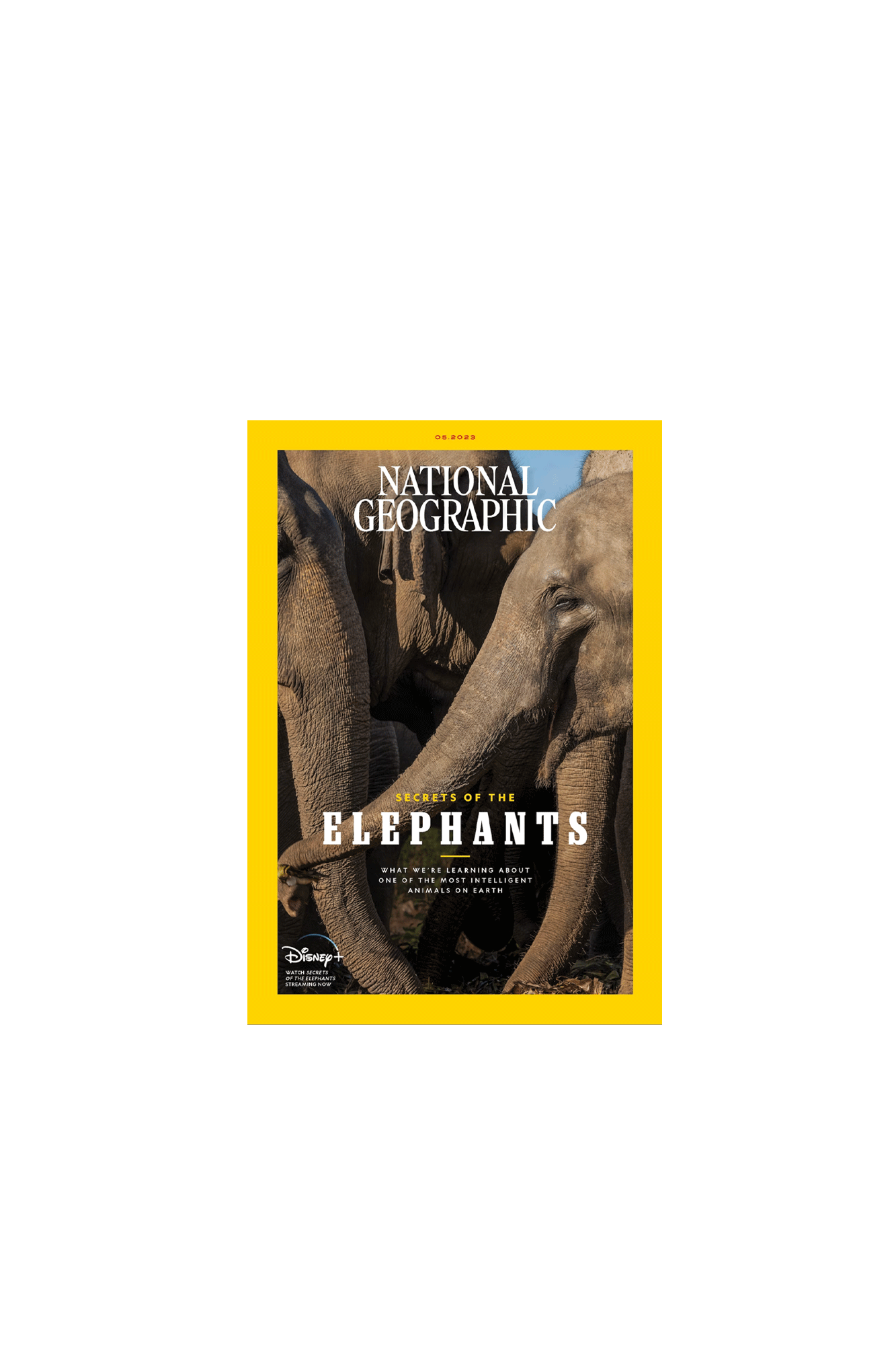 National Geographic USA Magazine Secrets of The Elephant